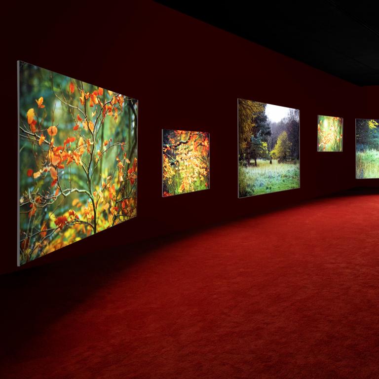 Connect with contemporary art on a tour of the SCAD Museum of Art with ...