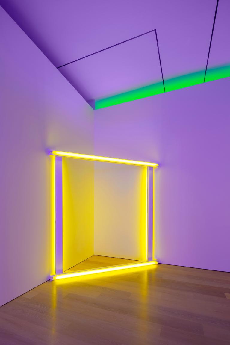 dan flavin house